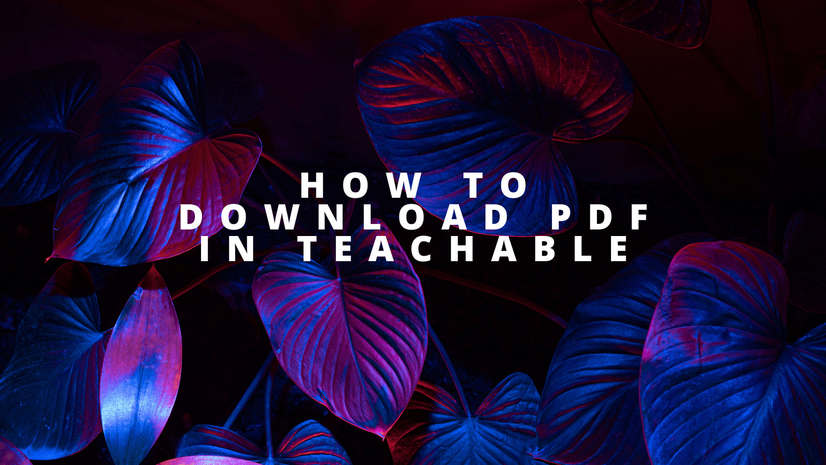 How to Download PDF in Teachable